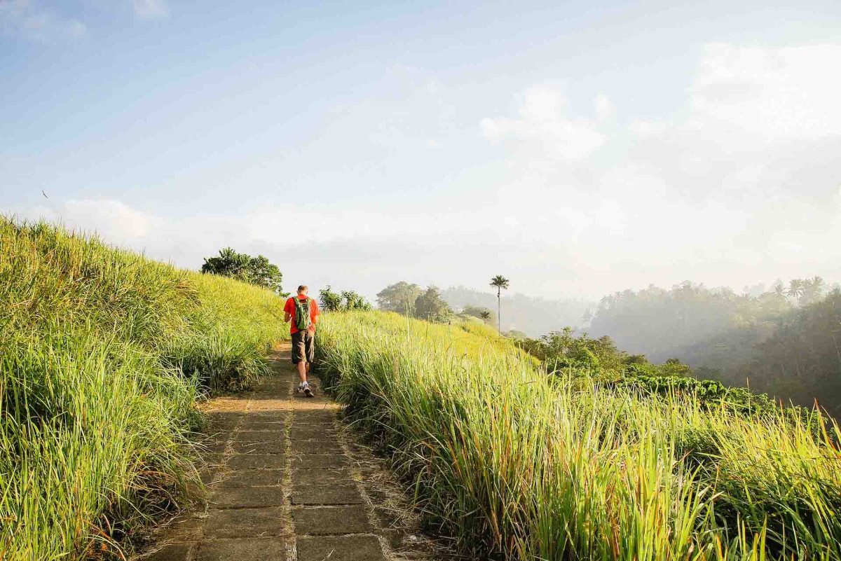 Campuhan Ridge Walk: A Guide to the Most Beautiful Trail in Bali - Ubud ...