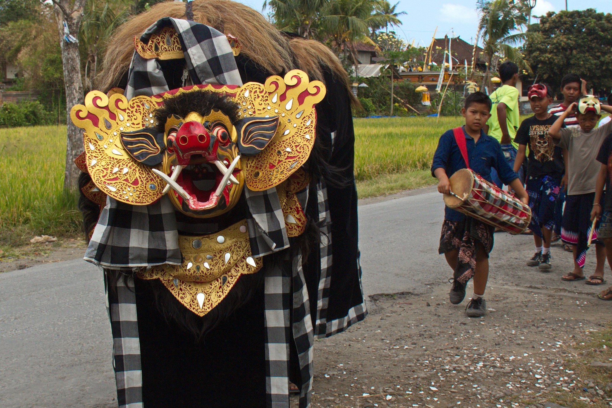 Exploring the Elegance of Barong Bali: A Cultural Gem - Ubud Villas Rental