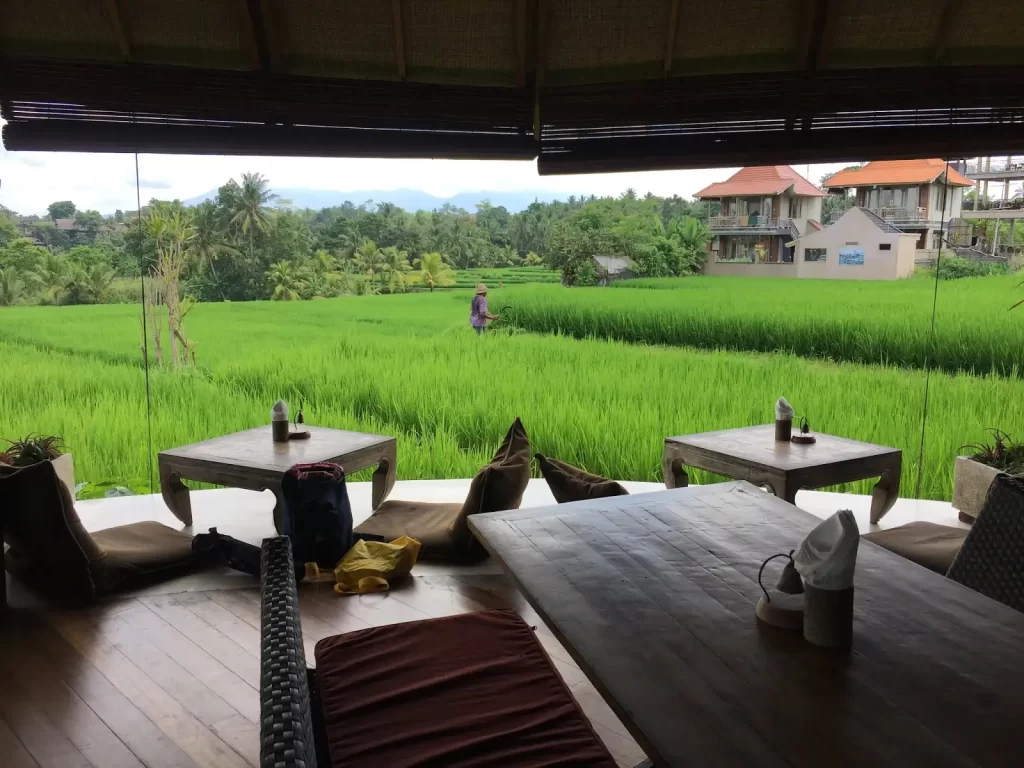 Best Coffee Shop Bali: Discover the Hidden Gems of Ubud Coffee - Ubud ...